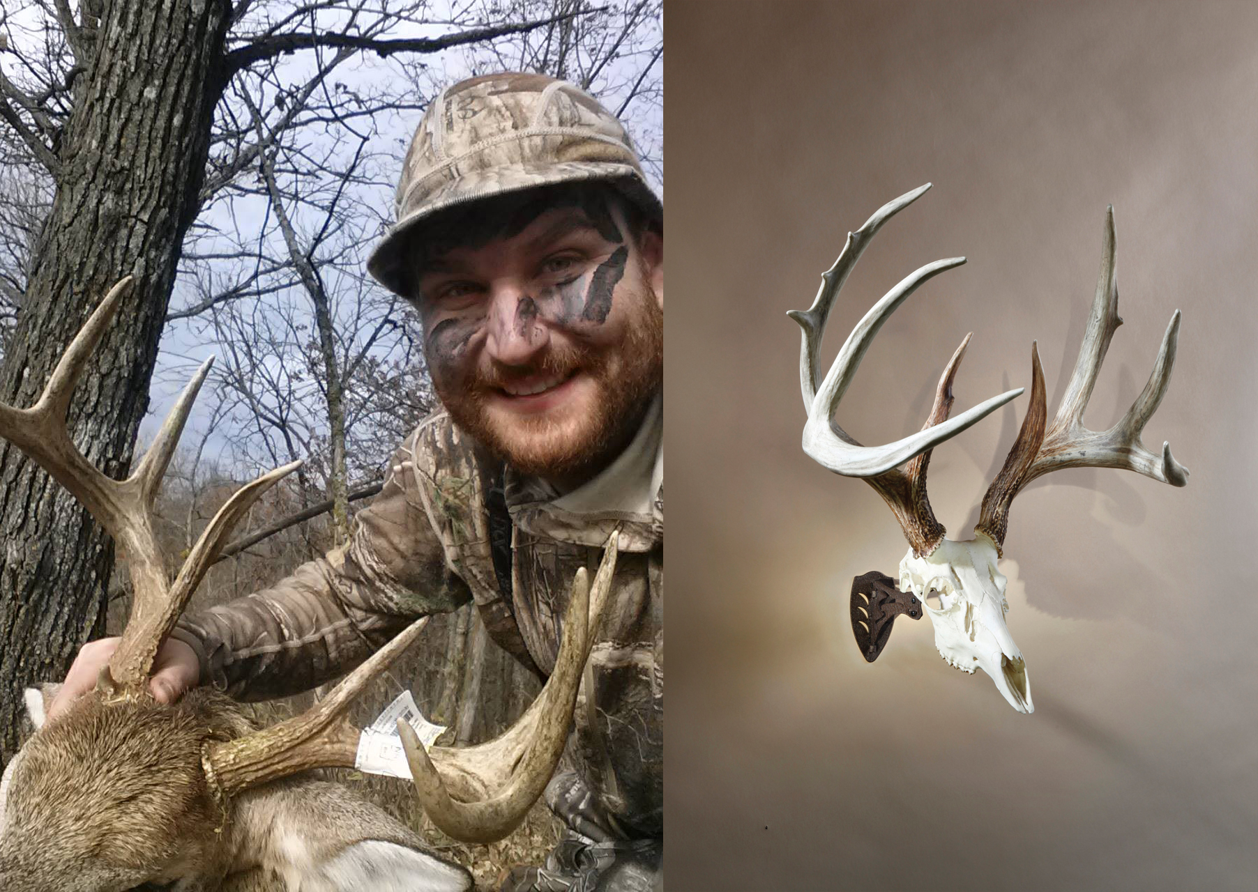 How To Clean Whiten And Mount A Whitetail Deer Skull How To Clean Whiten And Mount A Whitetail Deer Skull
