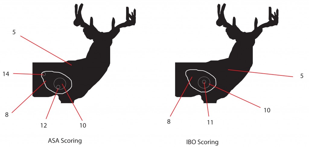 ASA IBO 3D Scoring