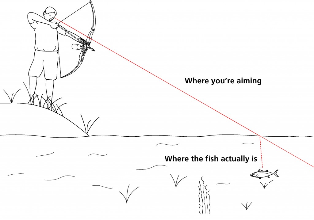 But How do I Bowfish?