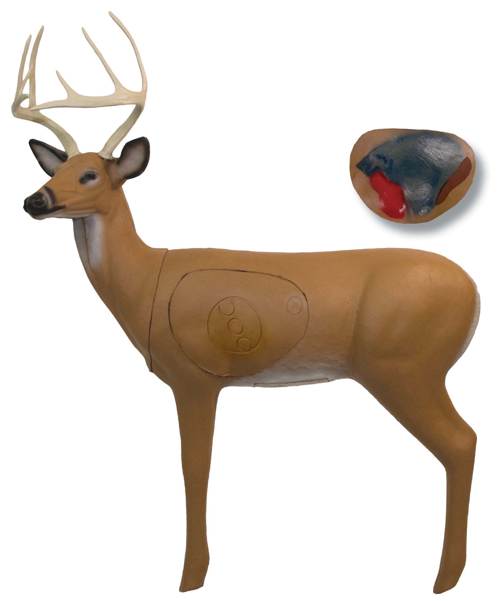 BIGshot Targets Prohunter Buck 3D Archery Target