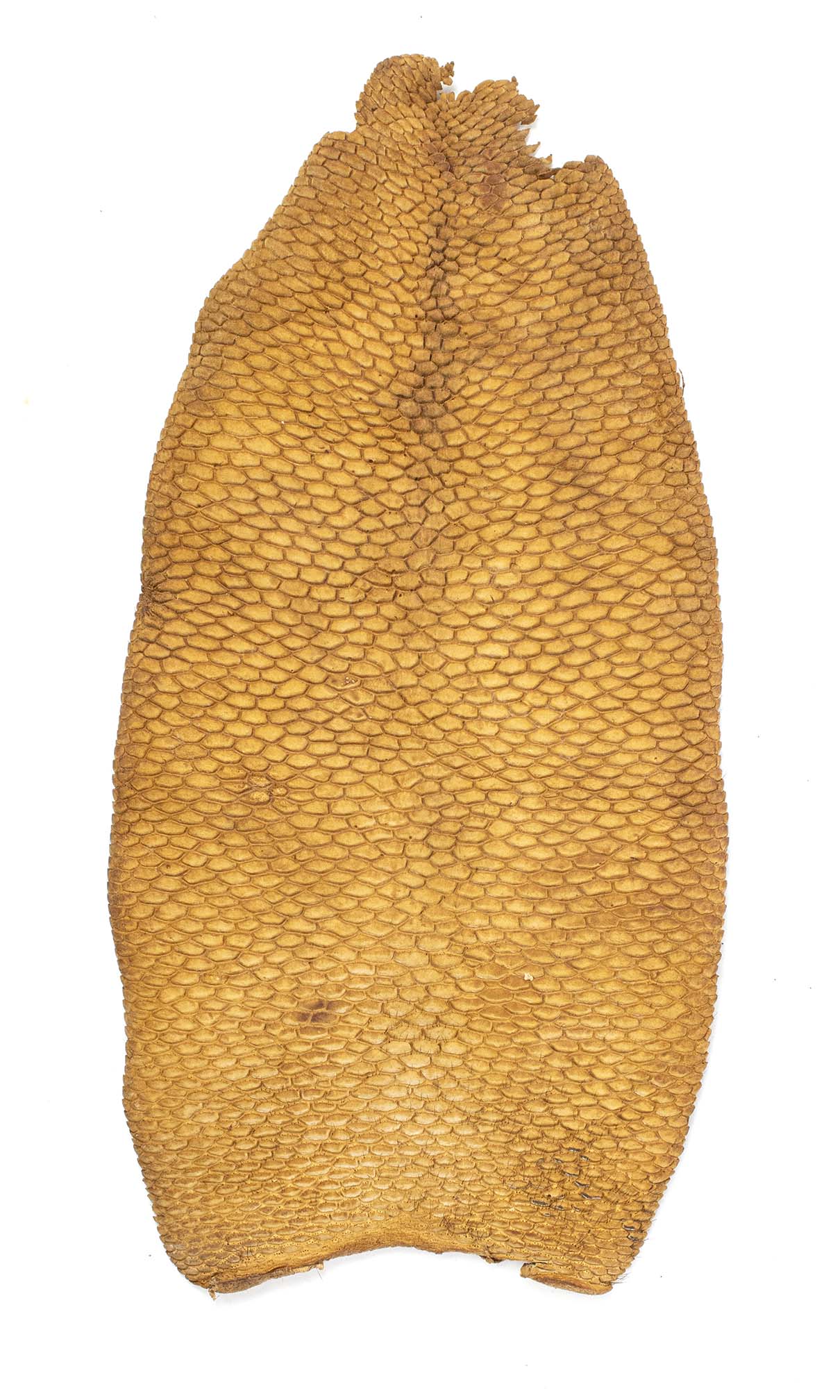 Beaver Tail Leather Bow Grip Material