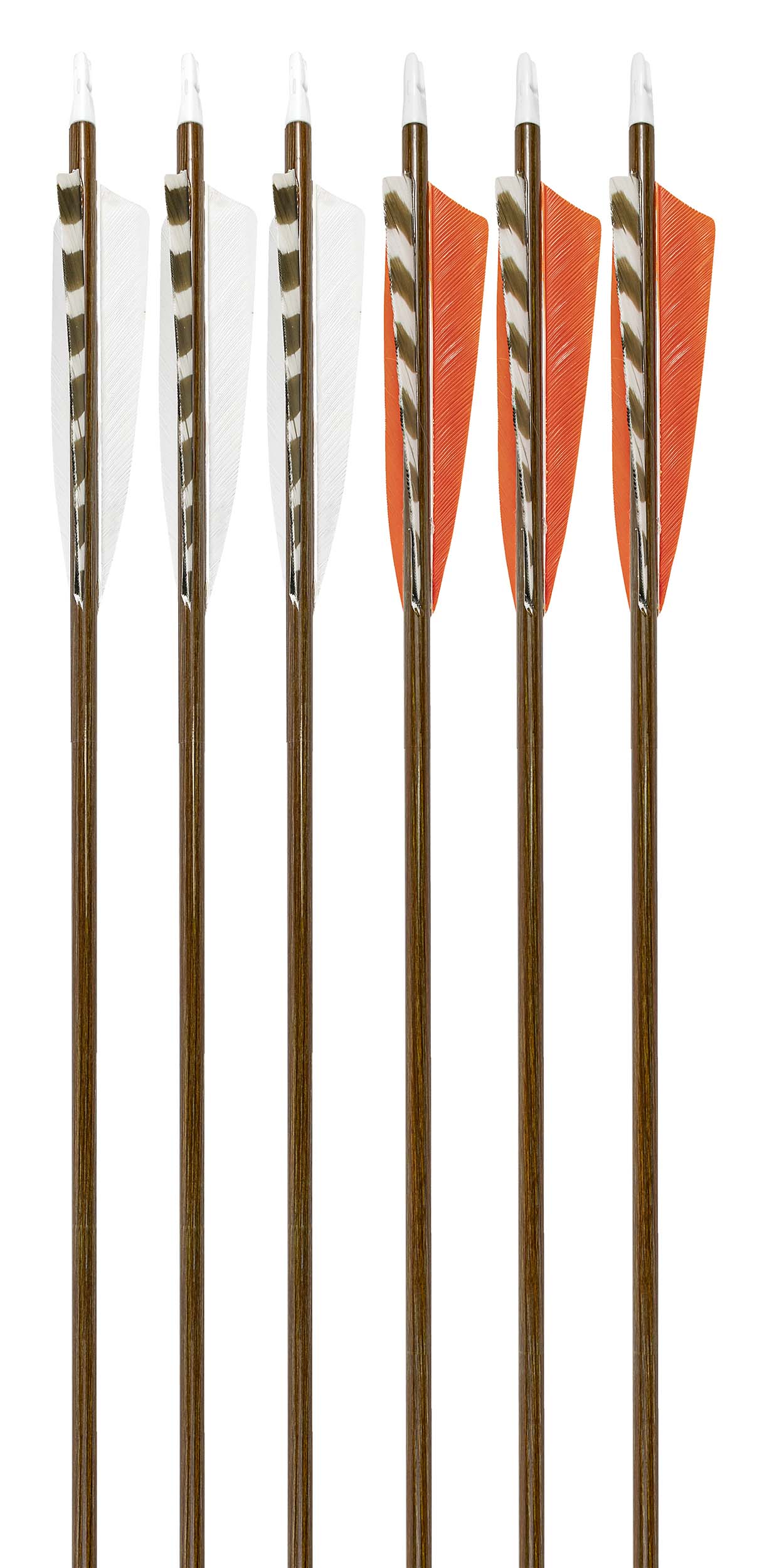 Carbon Arrows With Feathers