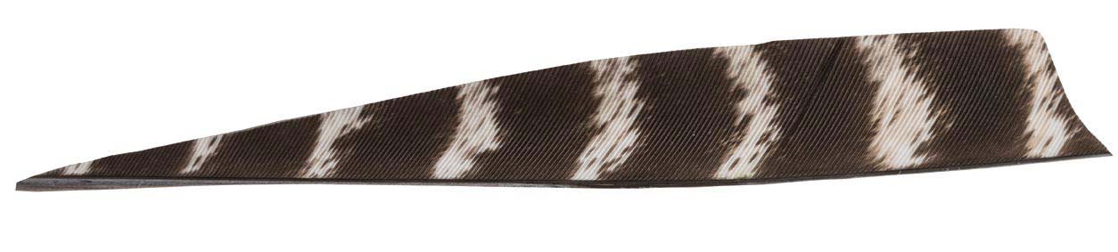 Blue Right Wing Feather Archery Fletches Silver Hawks 12 Ozark 2" Left ...