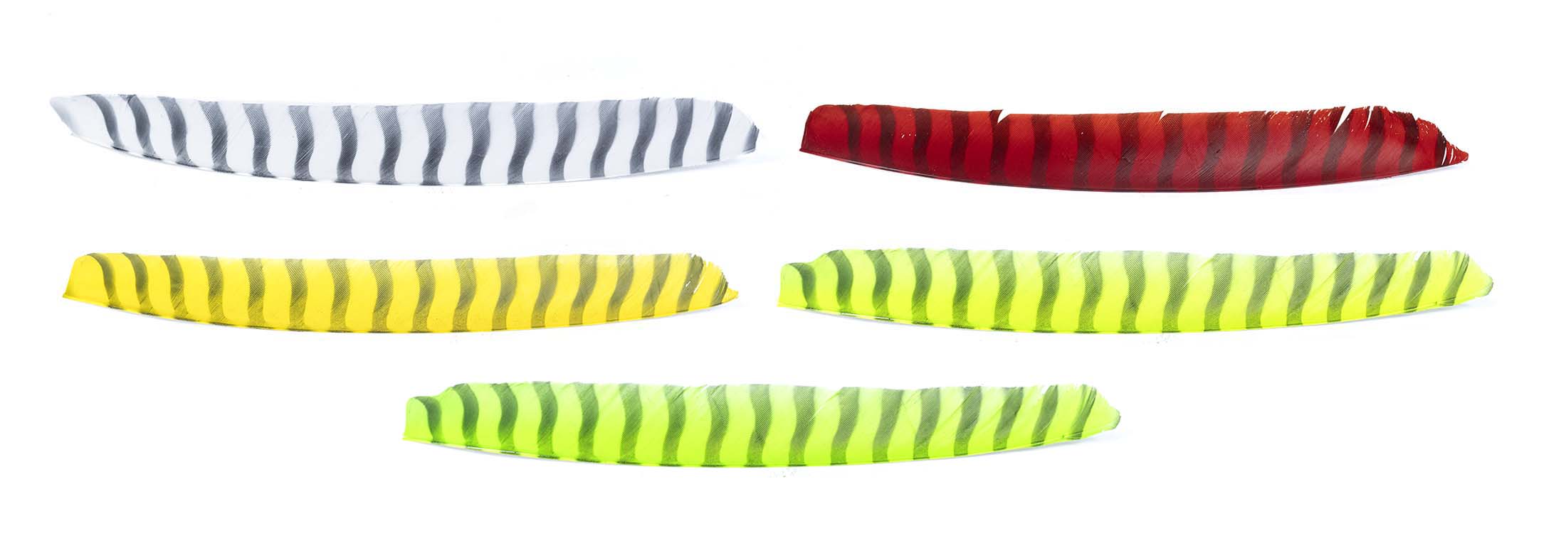 Traditional Only® Full Length Barred Feather Fletchings