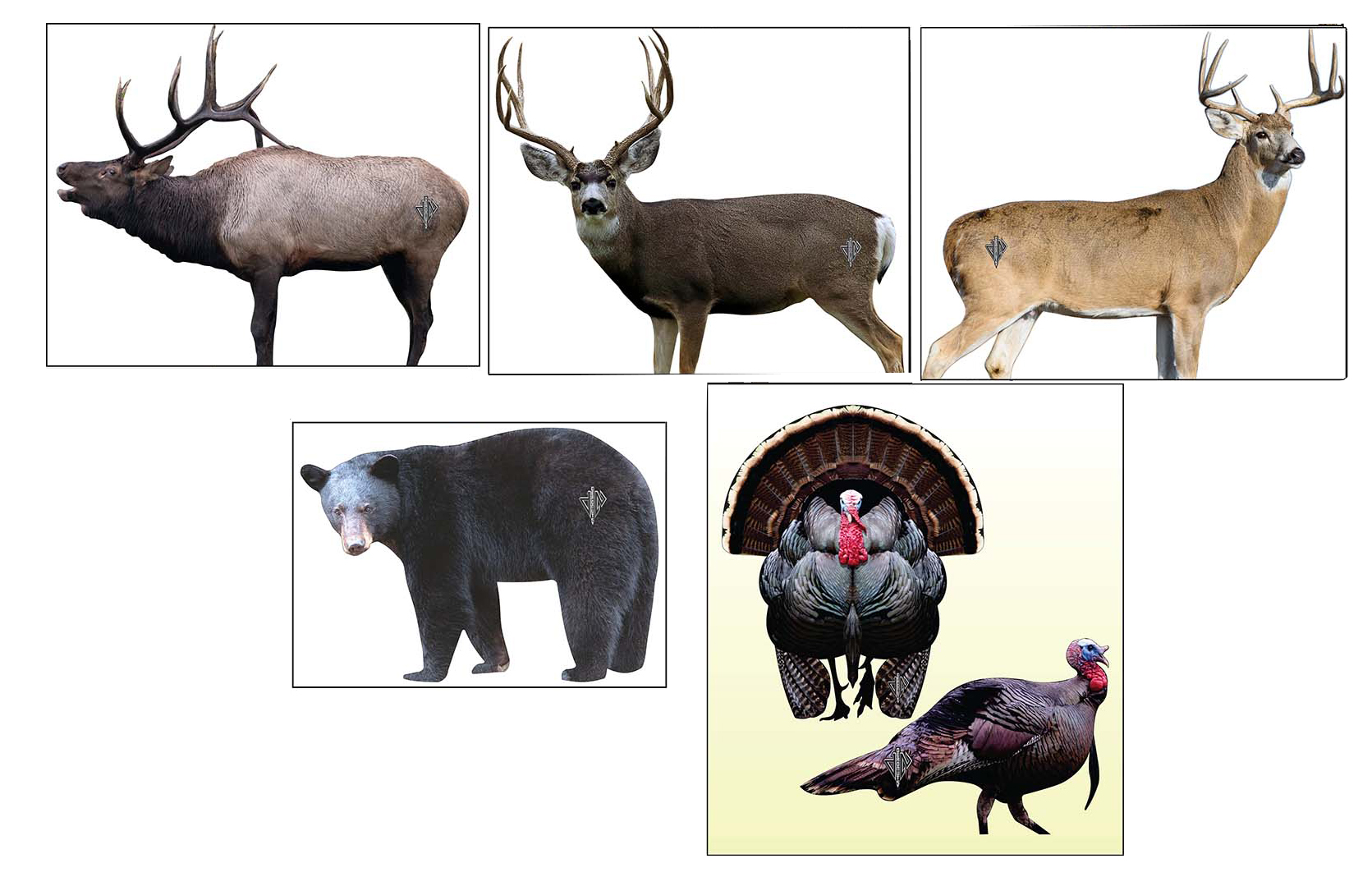 Deadnuts 2D Animal Target