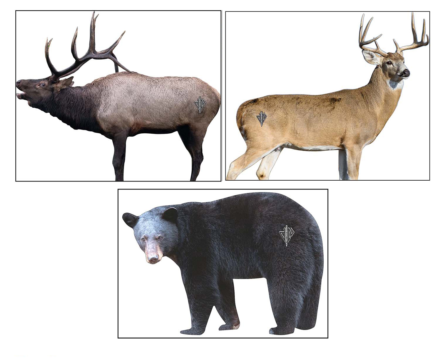 Deadnuts 2-D Target XRay w/ QuivAR