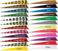 Trueflight Feathers | 3Rivers Archery