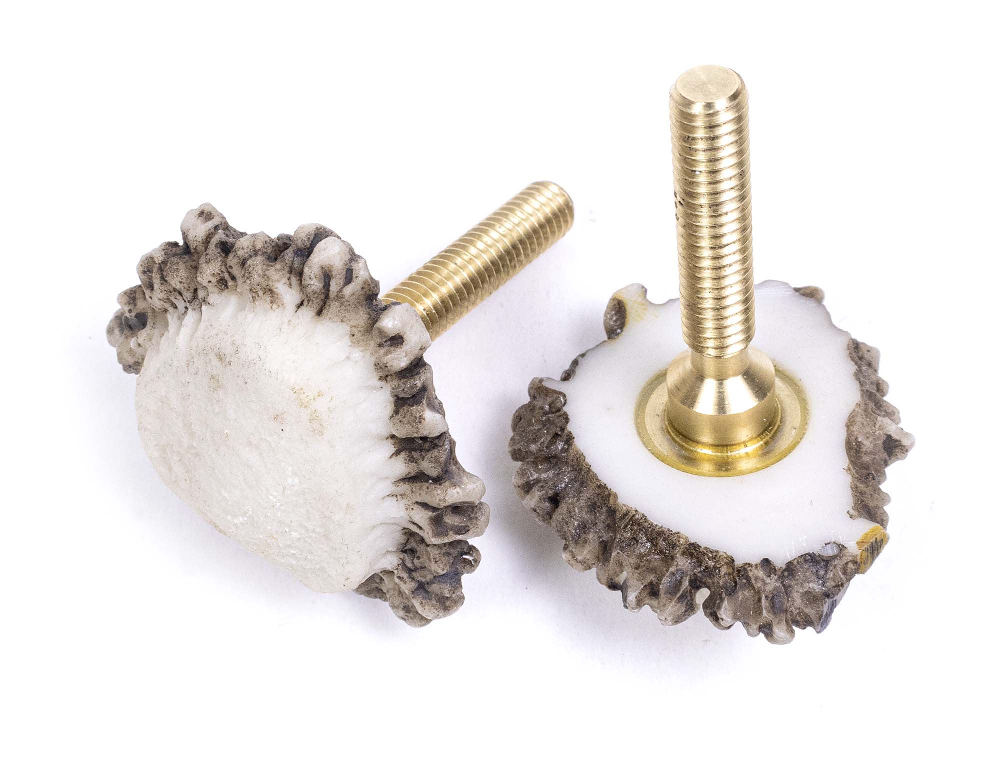 Antler Limb Bolts, pr