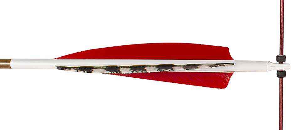 Nitro (Speed) Buttons, 6-pack