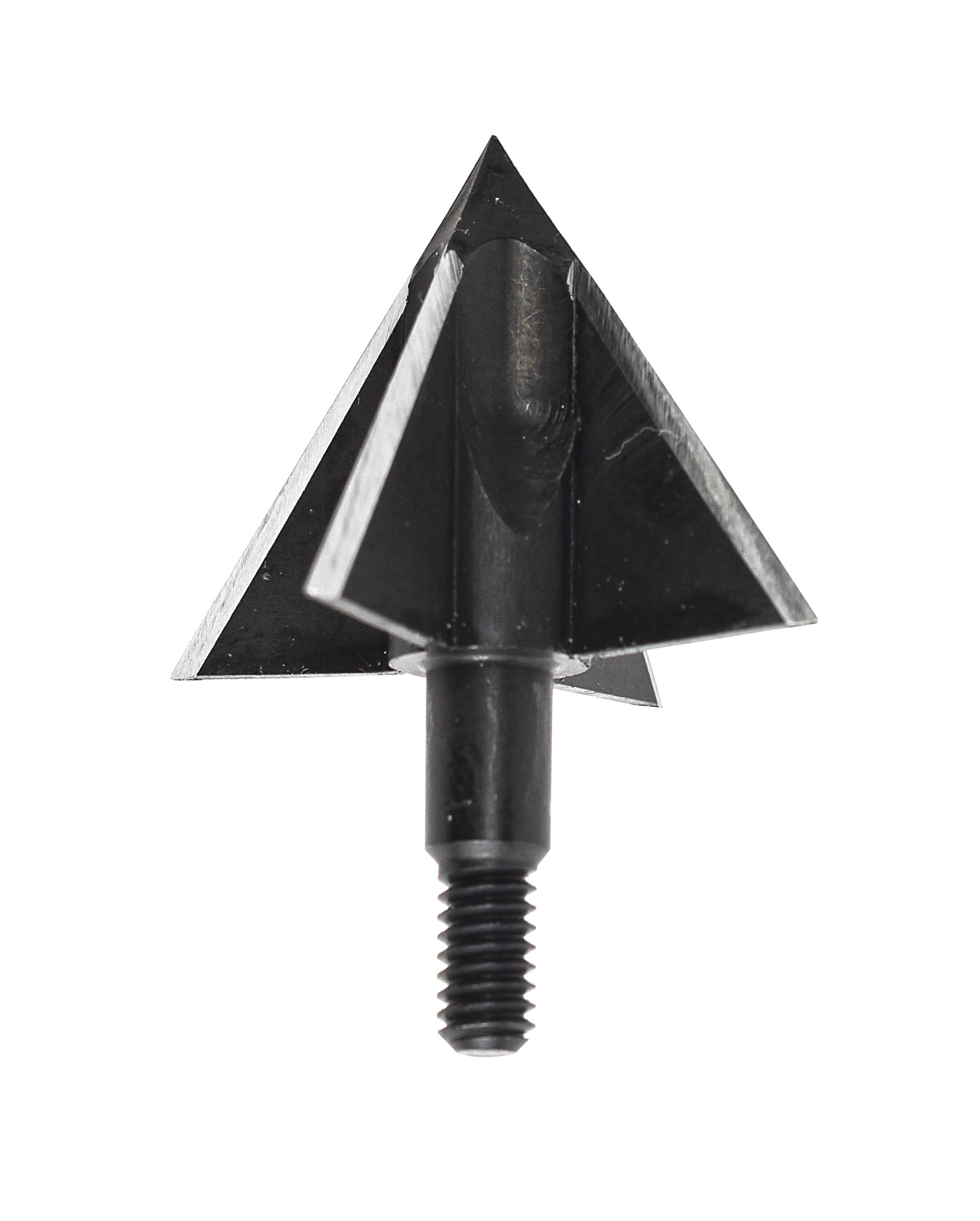 Tooth of the Arrow S-Series 4-Blade Screw-In Broadheads