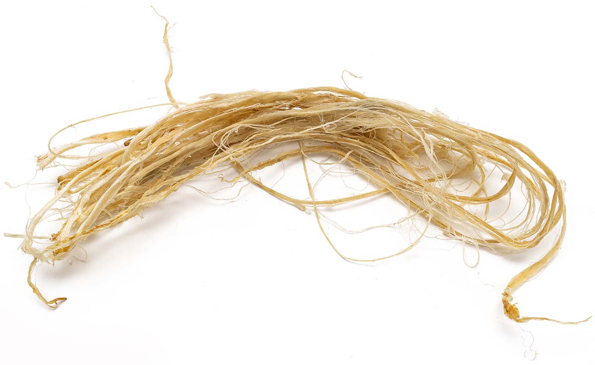 Water Buffalo Backstrap Sinew