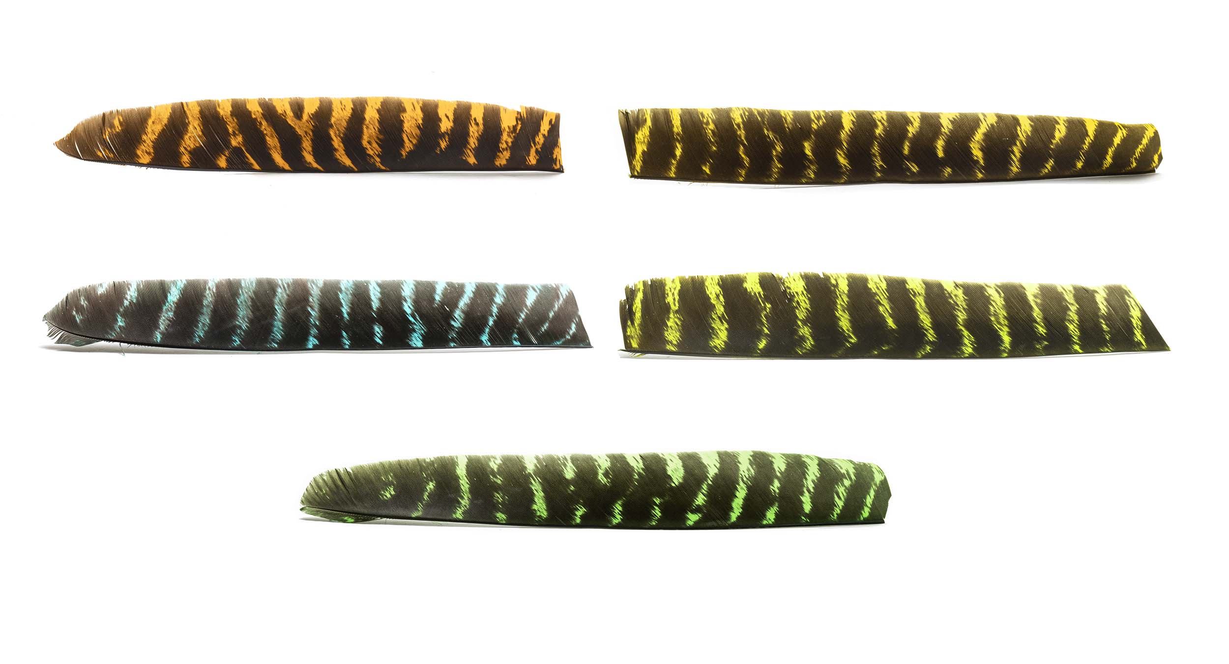 Traditional Only Full Length Dye Barred Feathers