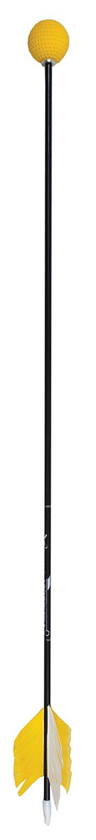 Rinehart NASP Archery Target