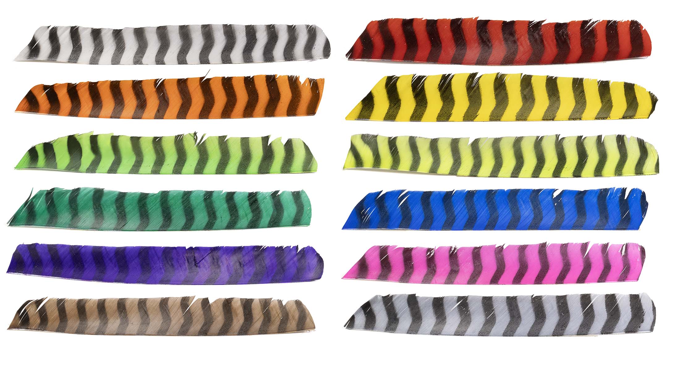 Traditional Only Heavy Barred Full Length Feather Fletchings