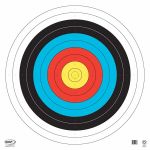 NASP Genesis V2 Youth Arrows