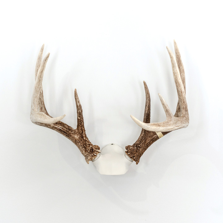 The Change Up Antler Mounting Kit