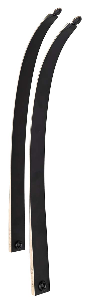 Cairn Takedown Recurve Limbs